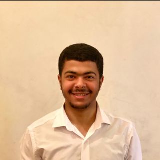 Ahmed E., Certified tutor with 3 years of experience | Learn with ...