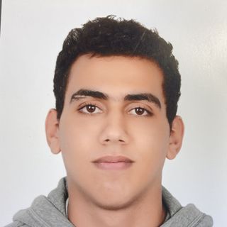Mohamed M., English tutor with several years of experience in several ...