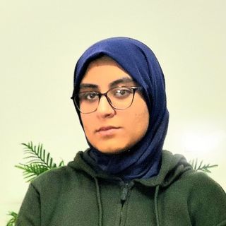 Haleema N., Become an expert of Data Science, Machine Learning and AI ...