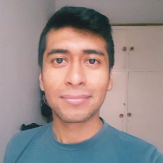 Brian A., Tutor with 4 years of experience that will make you learn ...