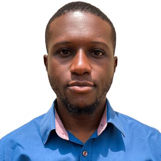 David O., Experienced tutor with over 1 year+ experience in helping ...